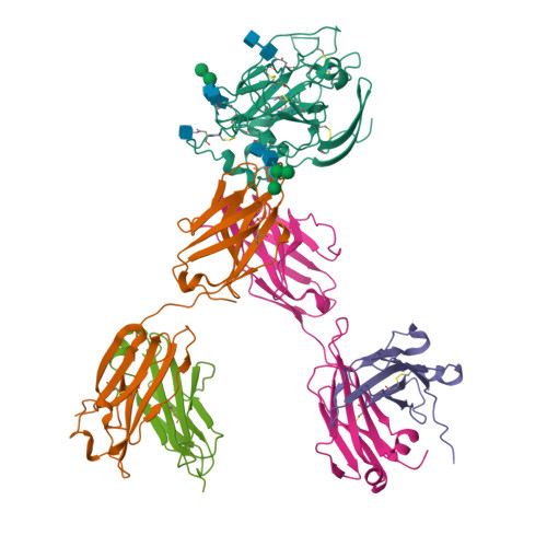 RCSB PDB - 8TGZ: CryoEM structure of neutralizing antibody HC84.26 in ...