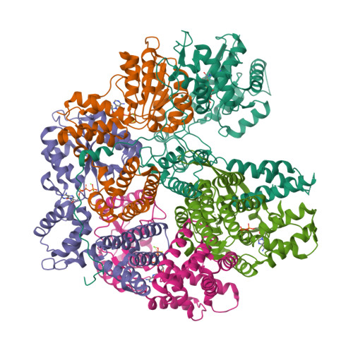 RCSB PDB - 8THB: Structure of the Saccharomyces cerevisiae PCNA clamp ...