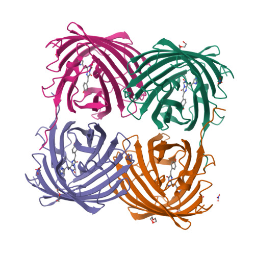 RCSB PDB - 8THS: Crystal Structure of a reconstructed Kaede-type Red ...