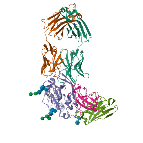 RCSB PDB - 8THZ: CryoEM structure of neutralizing antibodies CBH-7 and ...