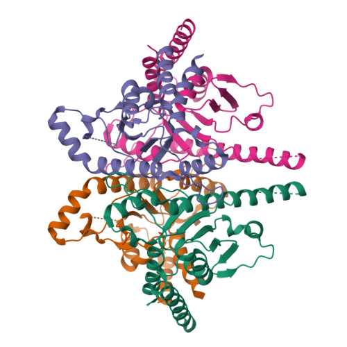 RCSB PDB - 8TIA: CryoEM structure of locally-refined tetramer of Shedu ...