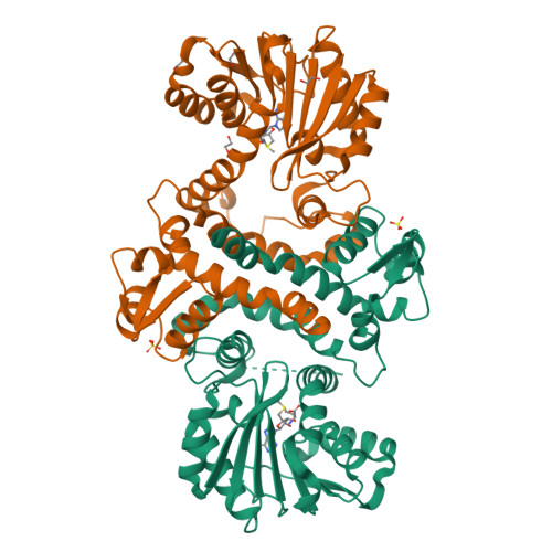 RCSB PDB - 8TJJ: SAM-dependent methyltransferase RedM bound to SAM