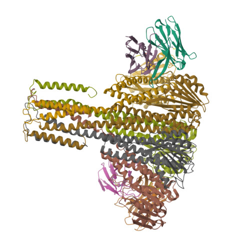 RCSB PDB - 8TMK: Cryo-EM structure of magnesium depleted CorA in ...