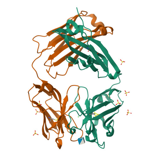 RCSB PDB - 8TN5: The Crystal Structure of a human monoclonal antibody ...