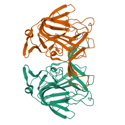 RCSB PDB - 8TN8: Crystal structure of the murine astrovirus capsid ...