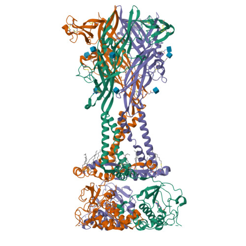 RCSB PDB - 8TR5: Cryo-EM structure of the rat P2X7 receptor in the apo ...
