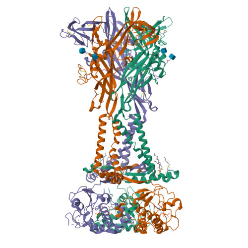 RCSB PDB - 8TR8: Cryo-EM structure of the rat P2X7 receptor in complex ...