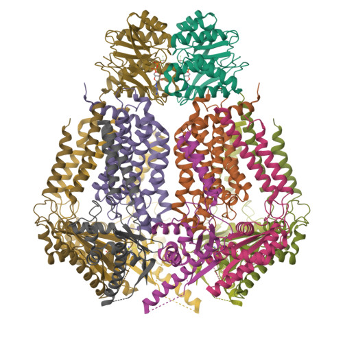 RCSB PDB - 8TSI: S. thermodepolymerans KpsMT-KpsE in complex with ADP:AlF4-