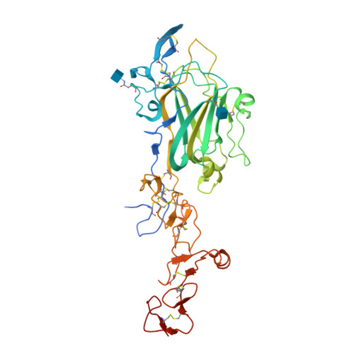 RCSB PDB - 8TSM: Crystal structure of chicken Netrin-1 LN LE1-2