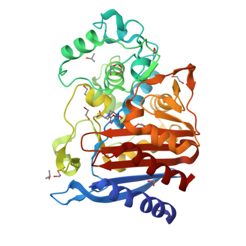 RCSB PDB - 8TTP: Crystal structure of class C beta-lactamase from ...
