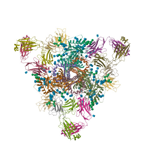 RCSB PDB - 8TTW: Cryo-EM structure of BG505 SOSIP.664 HIV-1 Env trimer ...