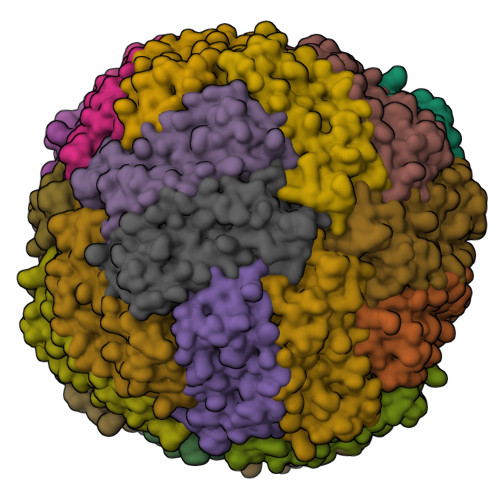 RCSB PDB - 8TU8: Cryo-EM structure of Apoferritin collected by SerialEM ...