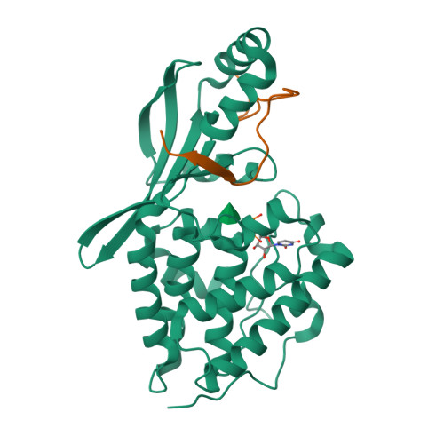 RCSB PDB - 8TWO: AvrB bound with UDP and RIN4_T166-Rha