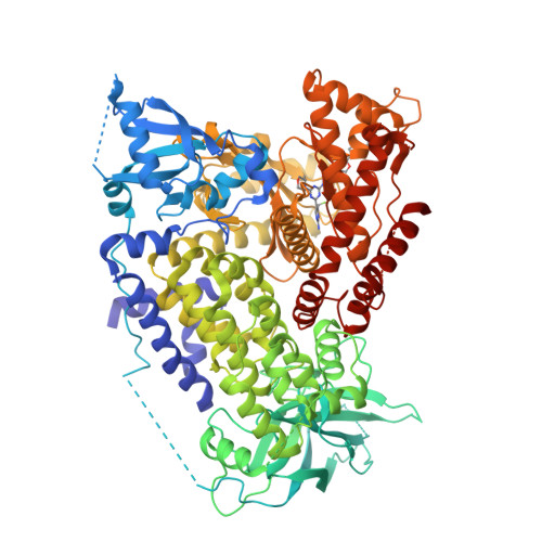 RCSB PDB - 8TWY: Structure of p110 alpha bound to (S)-1-(4-((2-(4-(4-(2 ...