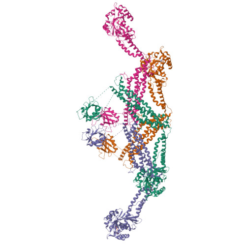 RCSB PDB - 8TYN: Cryo-EM of the GDP-bound human dynamin polymer ...