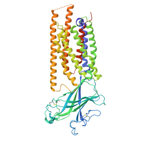 RCSB PDB - 8TZS: Structure of human WLS