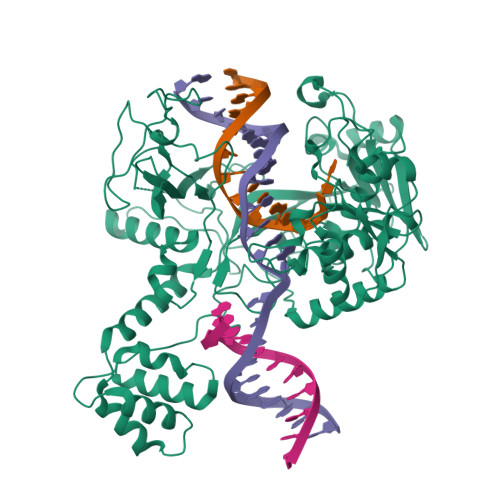 RCSB PDB - 8U0J: DdmE in complex with guide and target DNA