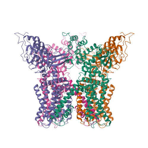RCSB PDB - 8U4D: TRPV1 in nanodisc bound with PI-Br4, consensus structure