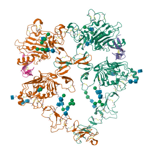 RCSB PDB - 8U4I: Structure of the HER4/NRG1b Homodimer Extracellular Domain