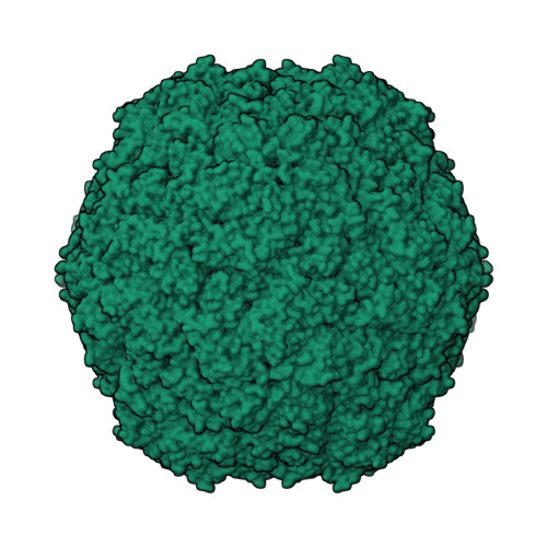 RCSB PDB - 8U50: Klebsiella pneumoniae DyP peroxidase-loaded encapsulin ...