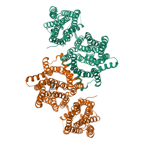 RCSB PDB - 8U58: The mTORC1 cholesterol sensor LYCHOS (GPR155) with ...