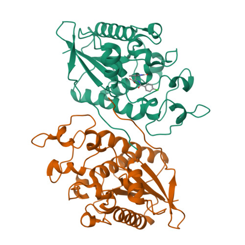 RCSB PDB - 8U5M: Structure of Sts-1 HP domain with rebamipide