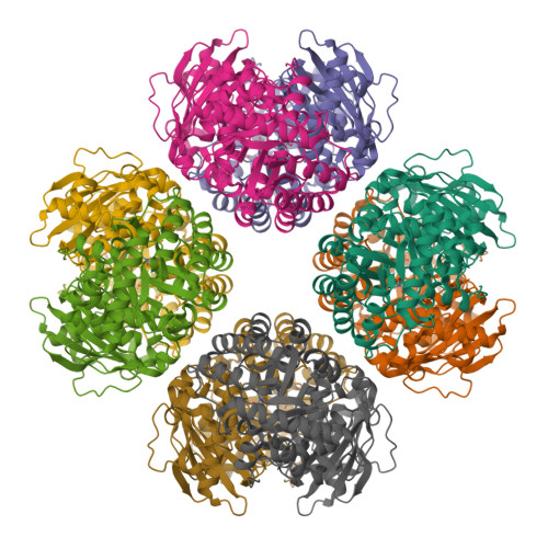 RCSB PDB - 8U66: Firmicutes Rubisco