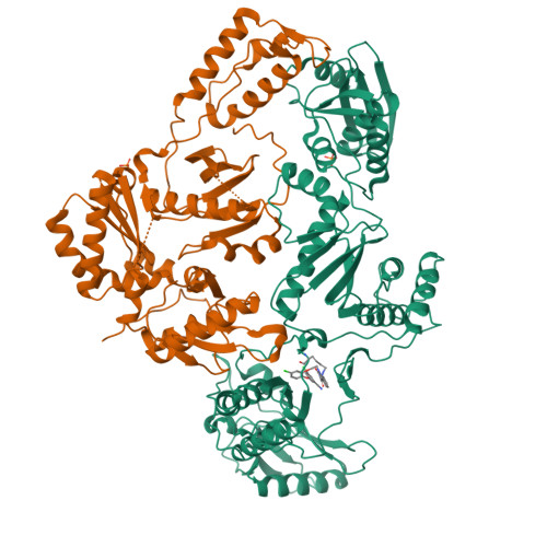 RCSB PDB - 8U6H: Crystal Structure of HIV-1 Reverse Transcriptase in ...