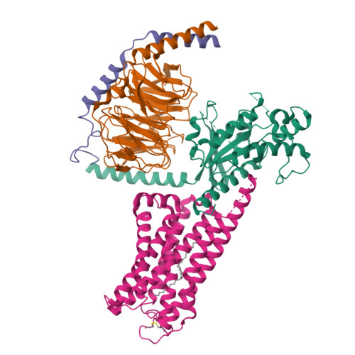RCSB PDB - 8U8F: GPR3 Orphan G-coupled Protein Receptor in complex with ...