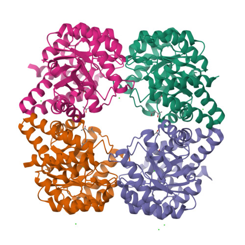 RCSB PDB - 8U91: Crystal structure of N-acetylneuraminate lyase (NanA ...