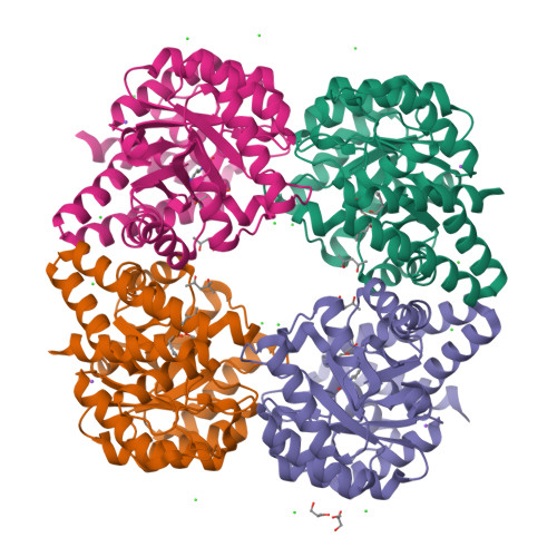 RCSB PDB - 8U92: Crystal structure of N-acetylneuraminate lyase (NanA ...