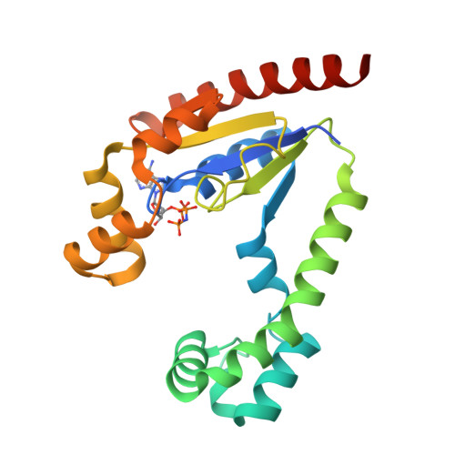 RCSB PDB - 8U97: Crystal Structure of Dephospho-CoA kinase from ...