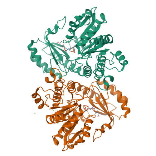 RCSB PDB - 8U99: Crystal Structure of Cystathionine beta lyase from ...