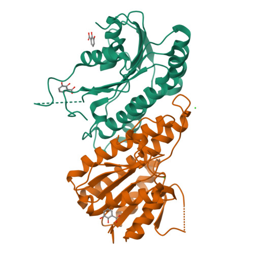 RCSB PDB - 8U9A: Crystal Structure of 2,3-dihydro-2,3-dihydroxybenzoate ...
