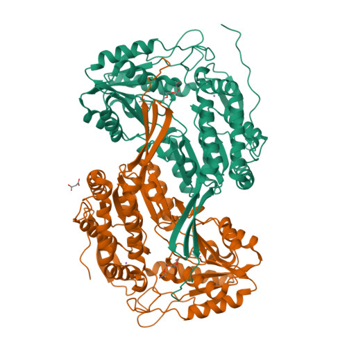 RCSB PDB - 8U9B: Crystal Structure of Betaine aldehyde dehydrogenase ...