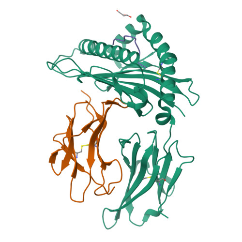 RCSB PDB - 8U9G: Human Class I MHC HLA-A2 bound to sorting nexin 24 ...