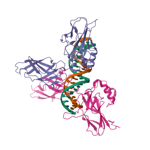 RCSB PDB - 8U9L: Crystal Structure of RelA-cRel chimera complex with DNA