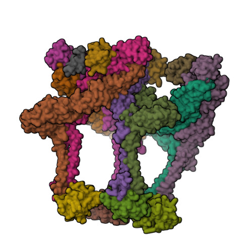 RCSB PDB - 8UA4: Structure of eastern equine encephalitis virus VLP in ...