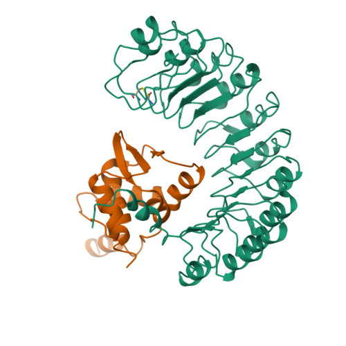RCSB PDB - 8UAH: Structure of BACH1 BTB domain-bound FBXL17 ubiquitin ...