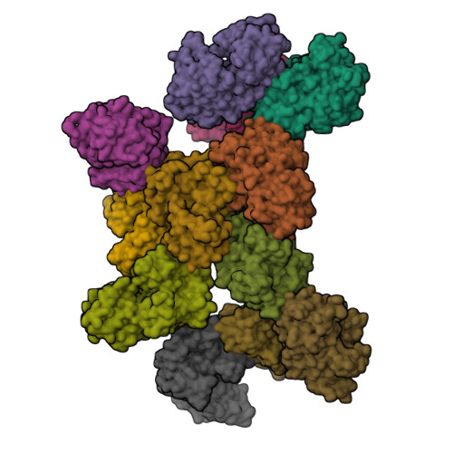 RCSB PDB - 8UAS: Rhodococcus ruber Alcohol Dehydrogenase NADH ...