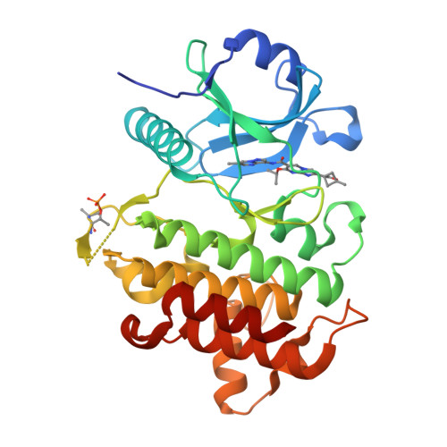 RCSB PDB - 8UCC: IRAK4 in complex with compound 20