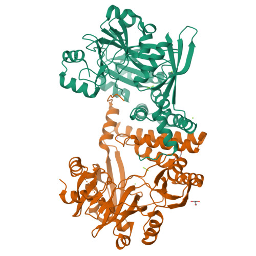RCSB PDB - 8UCG: Thermophilic RNA Ligase from Palaeococcus pacificus K92A
