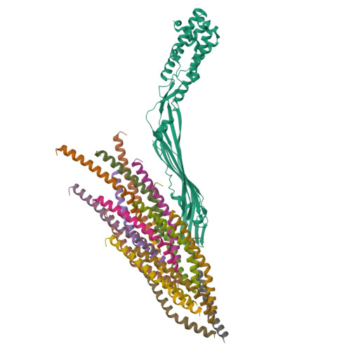 RCSB PDB - 8UCR: PhiCb5 maturation protein with Caulobacter crescentus ...