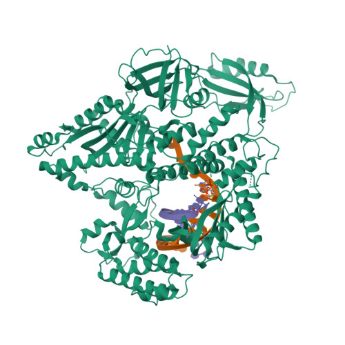 RCSB PDB - 8UCU: Partial DNA termination subcomplex of Xenopus laevis ...