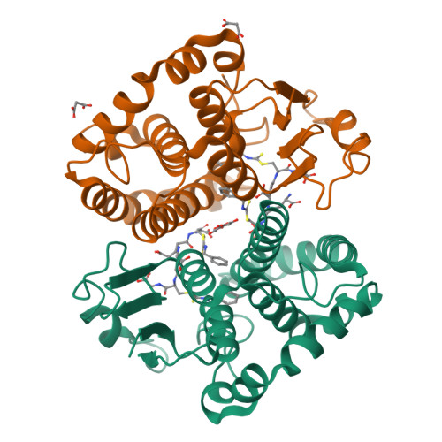 RCSB PDB - 8UDH: Crystal Structure of Mu class Glutathione-S ...