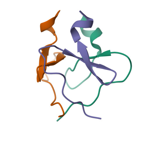 RCSB PDB - 8UDN: A Stable Heterotrimeric Foldon with Minimum Mutation