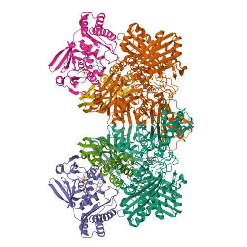 RCSB PDB - 8UEM: The CryoEM structure of the high affinity Carbon ...