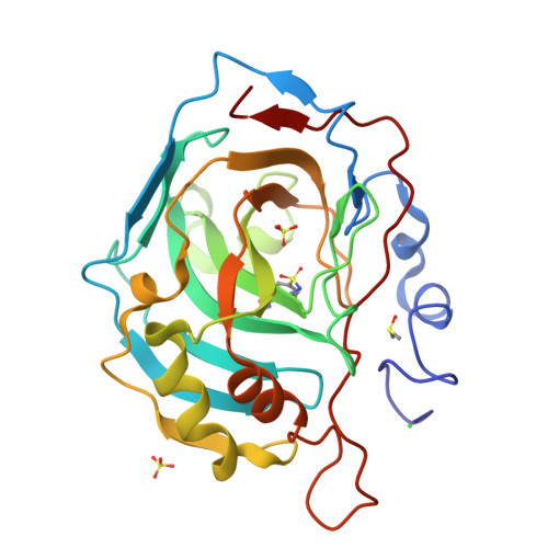 RCSB PDB - 8UFW: CA9 mimic with SLC compound