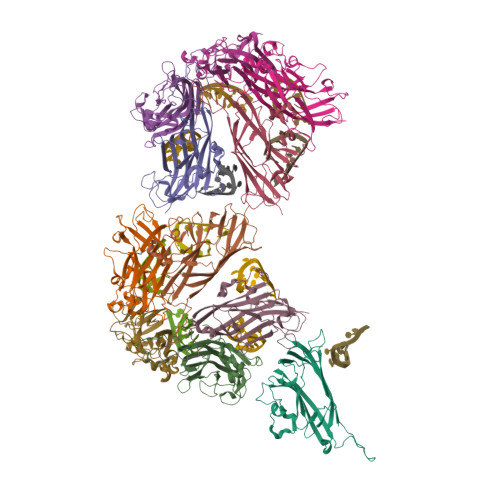 RCSB PDB - 8UGQ: CryoEM Structure of Maize Streak Virus (MSV) - Geminivirus