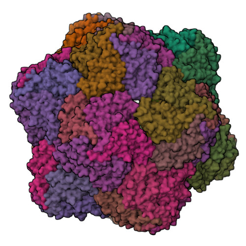 RCSB PDB - 8UH4: Cryo-EM structure of Maize Streak Virus (MSV) - single ...